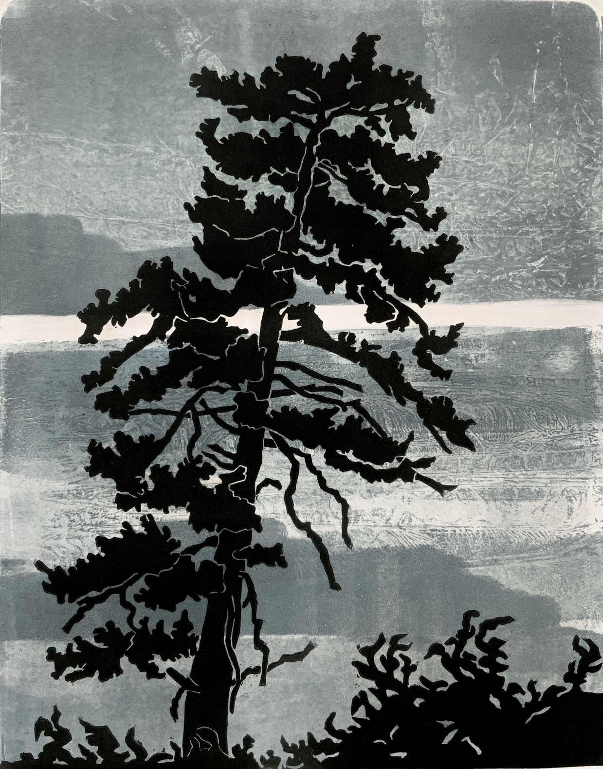Susan Gillespie – Comox Valley Printmakers Association